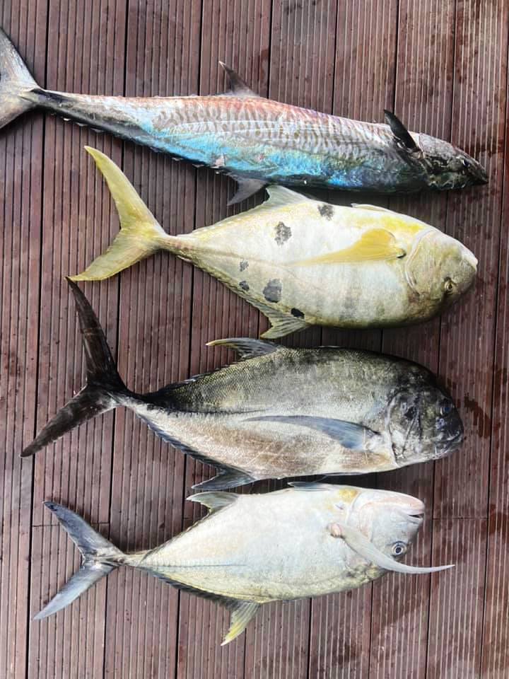 Sri Lanka Deep Sea Game Fishing January 2021 - Welcome to "Malu Banna ...